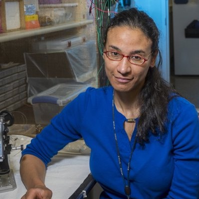 Dr. Samuel M. Nabrit Conference for Early Career Scholars | Department ...