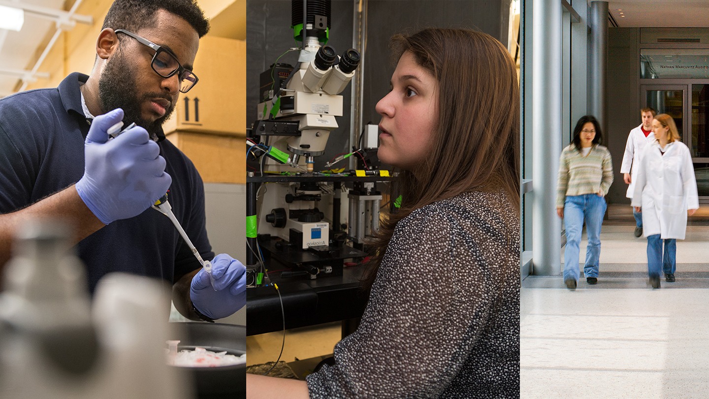 Department of Molecular Biology, Cell Biology, and Biochemistry ...